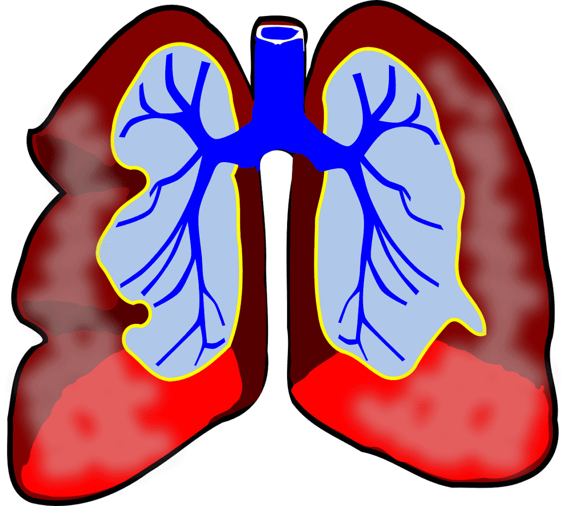 What Is Labored Breathing? 8 Clear Reasons Behind Dyspnea